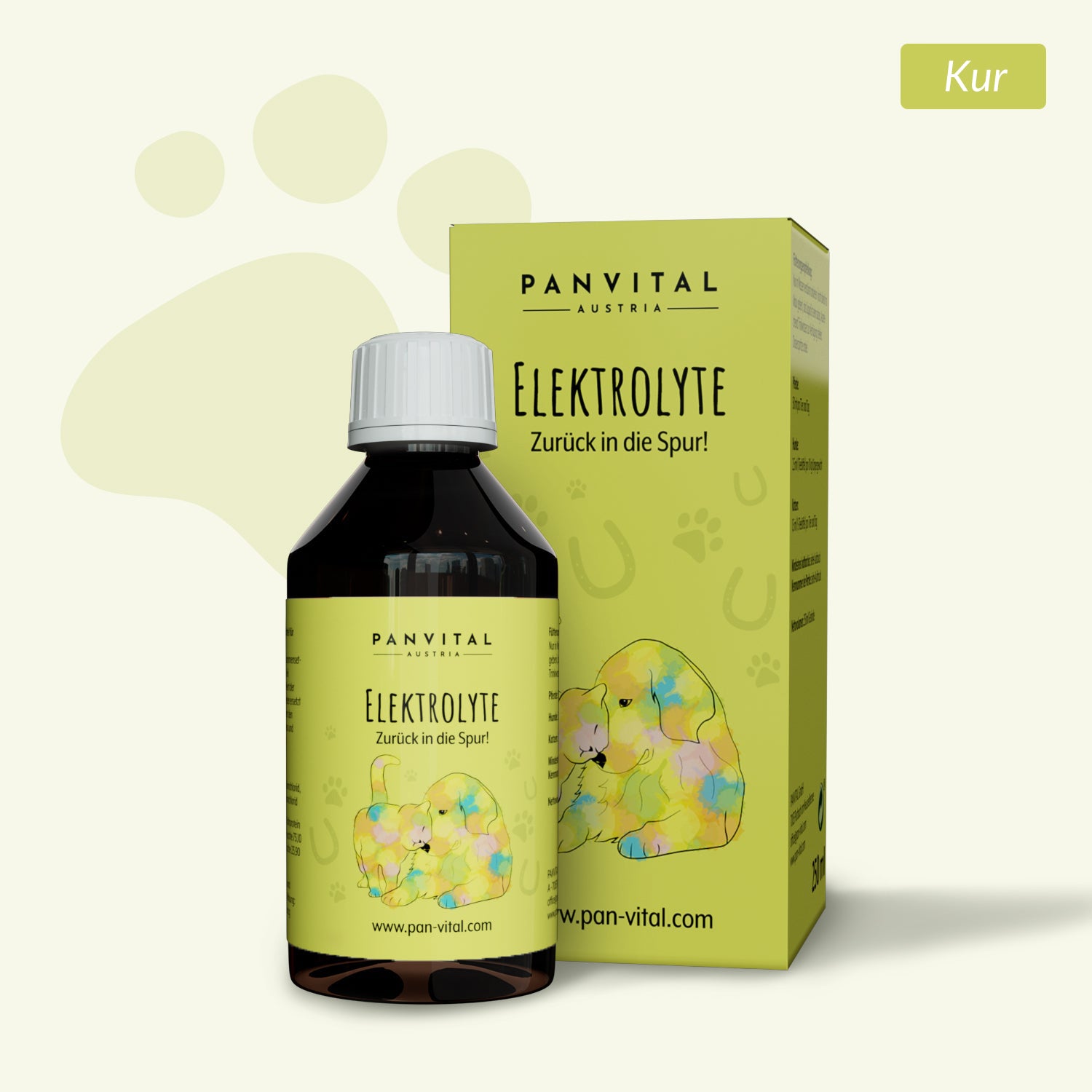Elektrolyte 250 ml – Zurück in die Spur! – PANVITAL
